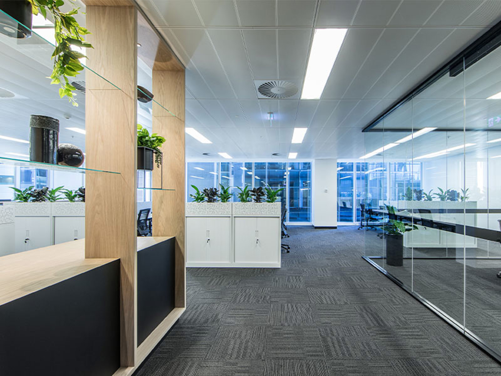 Multiplex | Hub Interiors