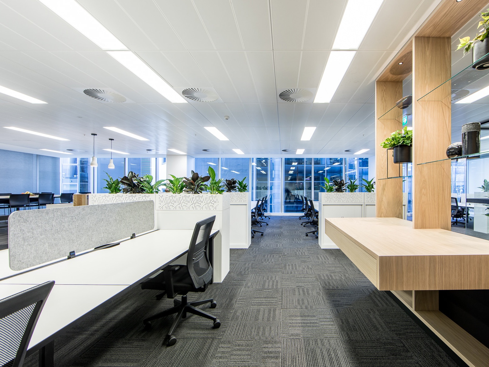 Multiplex | Hub Interiors